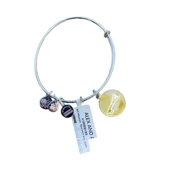 Alex and Ani | Jewelry | Alex And Ani Infusion Skeleton Key Expandable Rafaelian Silver Bangle ...